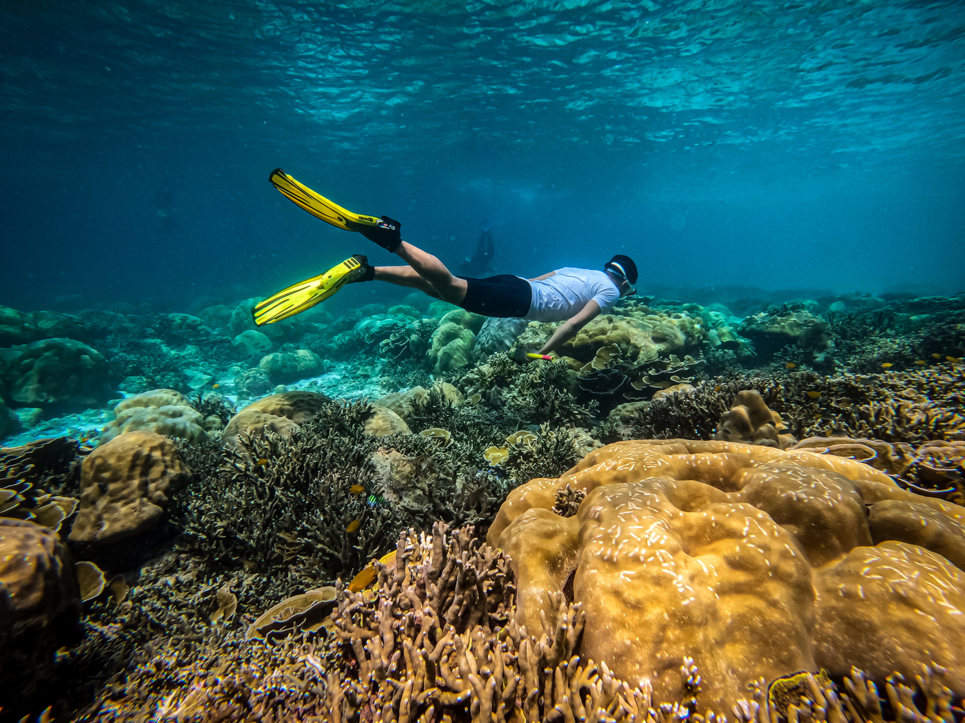 Activities - Underwater Thailand